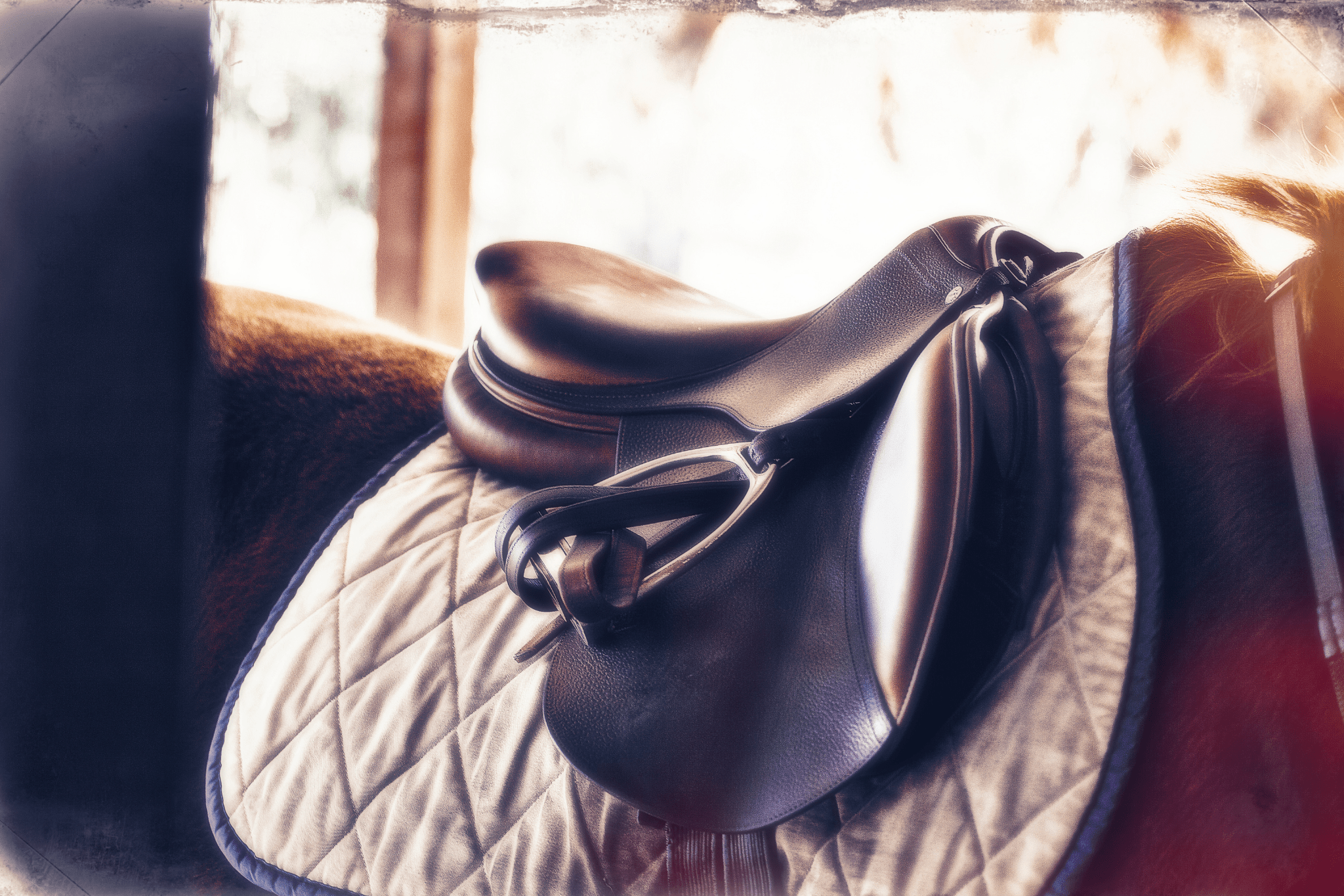 5 Best English Saddles for Beginners With Big Dreams - Horse Rookie